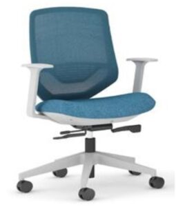 Express 2 Chair – Salam Enterprises